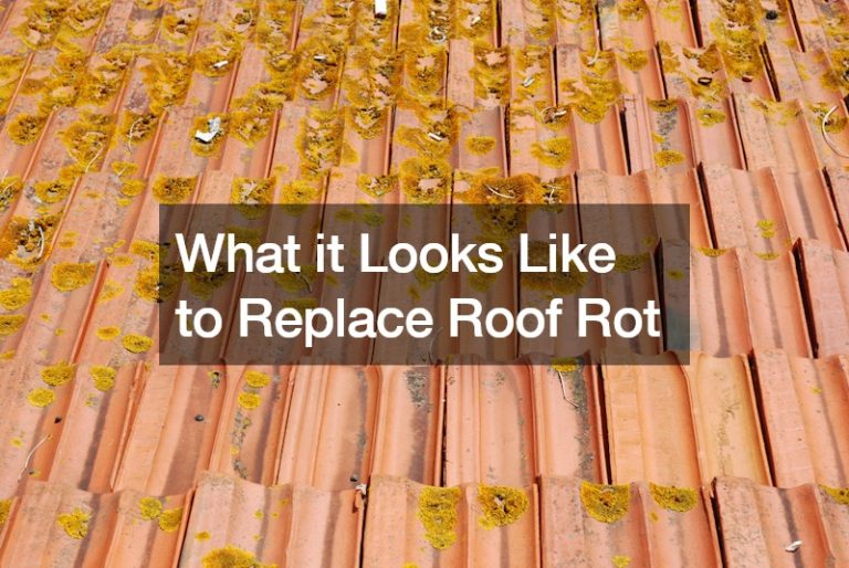 What it Looks Like to Replace Roof Rot - Design Business Engineering